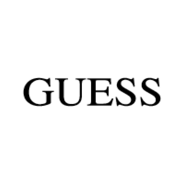Guess - The Point